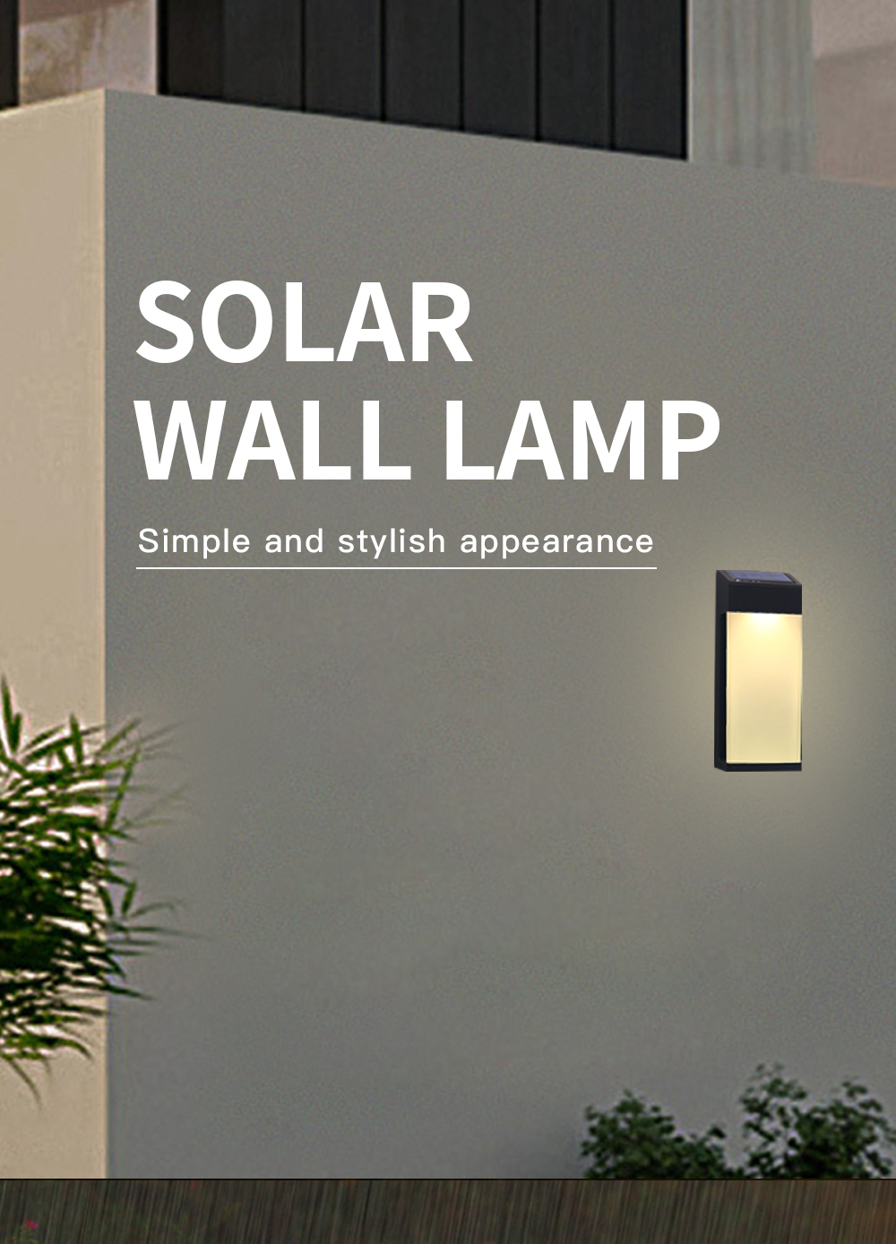 Zen Bravo - Zen LEDS